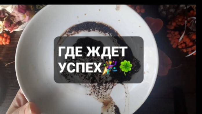 ГДЕ ЖДЕТ УСПЕХ!? ГАДАНИЕ НА КОФЕЙНОЙ ГУЩЕ