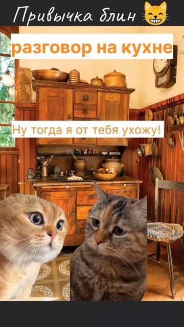 Сериал #ДваКота продолжается. Не забывайте #ЖитьЖизнь #юмор #анекдот #смешныекоты #смешныевидео #кот