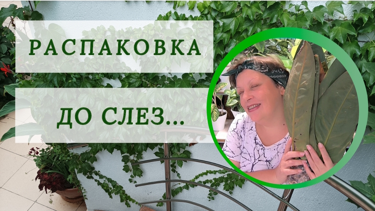 РАСПАКОВКА ДО СЛЕЗ. 16-09-2025