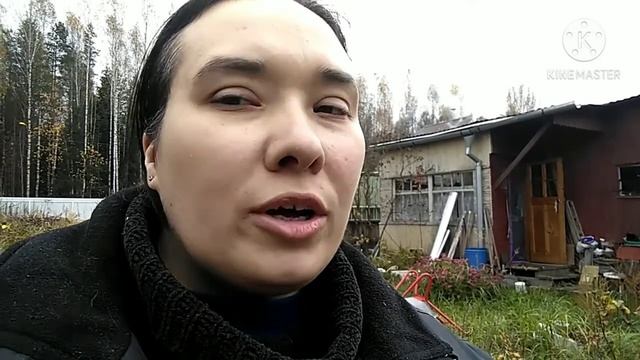 34-2020 Закрываем Сезон _ Отвечаю на Комментарии _ Холодает __ Elena Pero