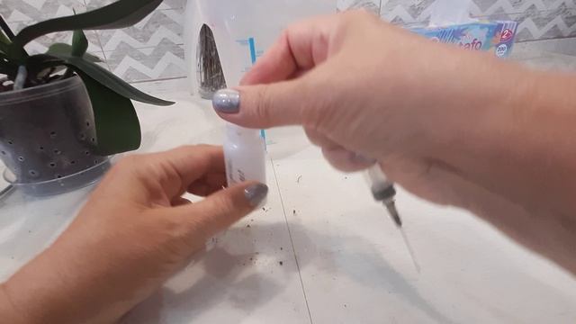 Обработка новой орхидеи бабочки Брауни.