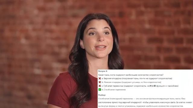 Биология 6 класс. Урок 3. Тест 2. Ткани и органы растений. Подготовка к ВПР, бесплатно. Sdavalka.ru