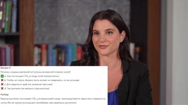 Биология 6 класс. Урок 5. Тест 2. Лист – фабрика фотосинтеза. Подготовка к ВПР, бесплатно.