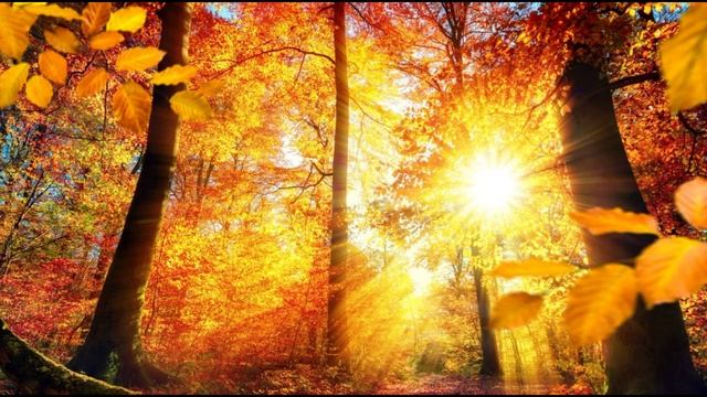 Прощальное тепло...Геннадий Попов.