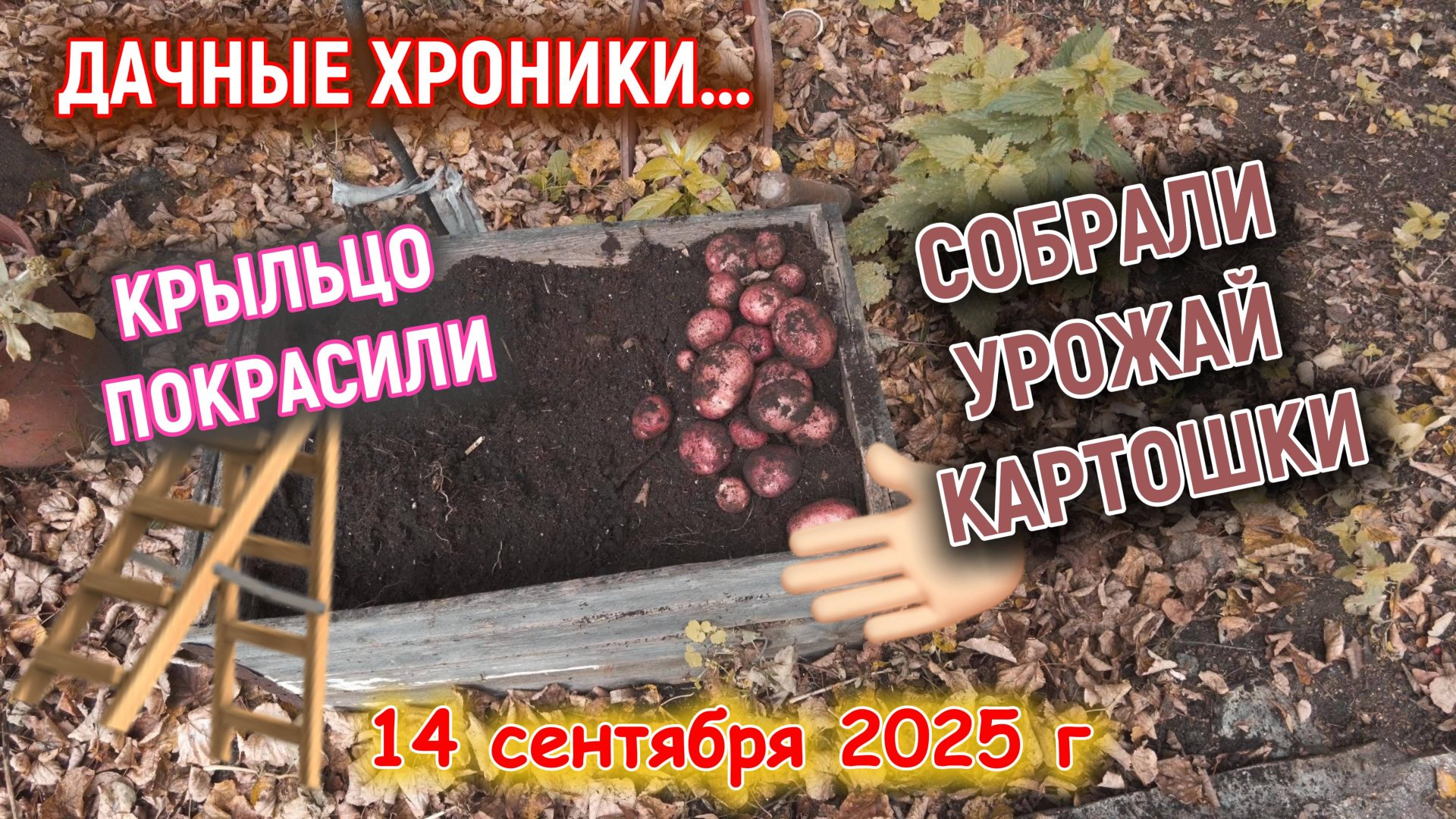 Крыльцо покрасили - картошку собрали 14 сентября 2025 г