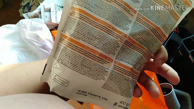 17-2019 ХАЛЯВА с фестиваля 4 ЛАПЫ _ Elena Pero