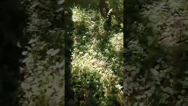 Россия от Москвы до края Земли