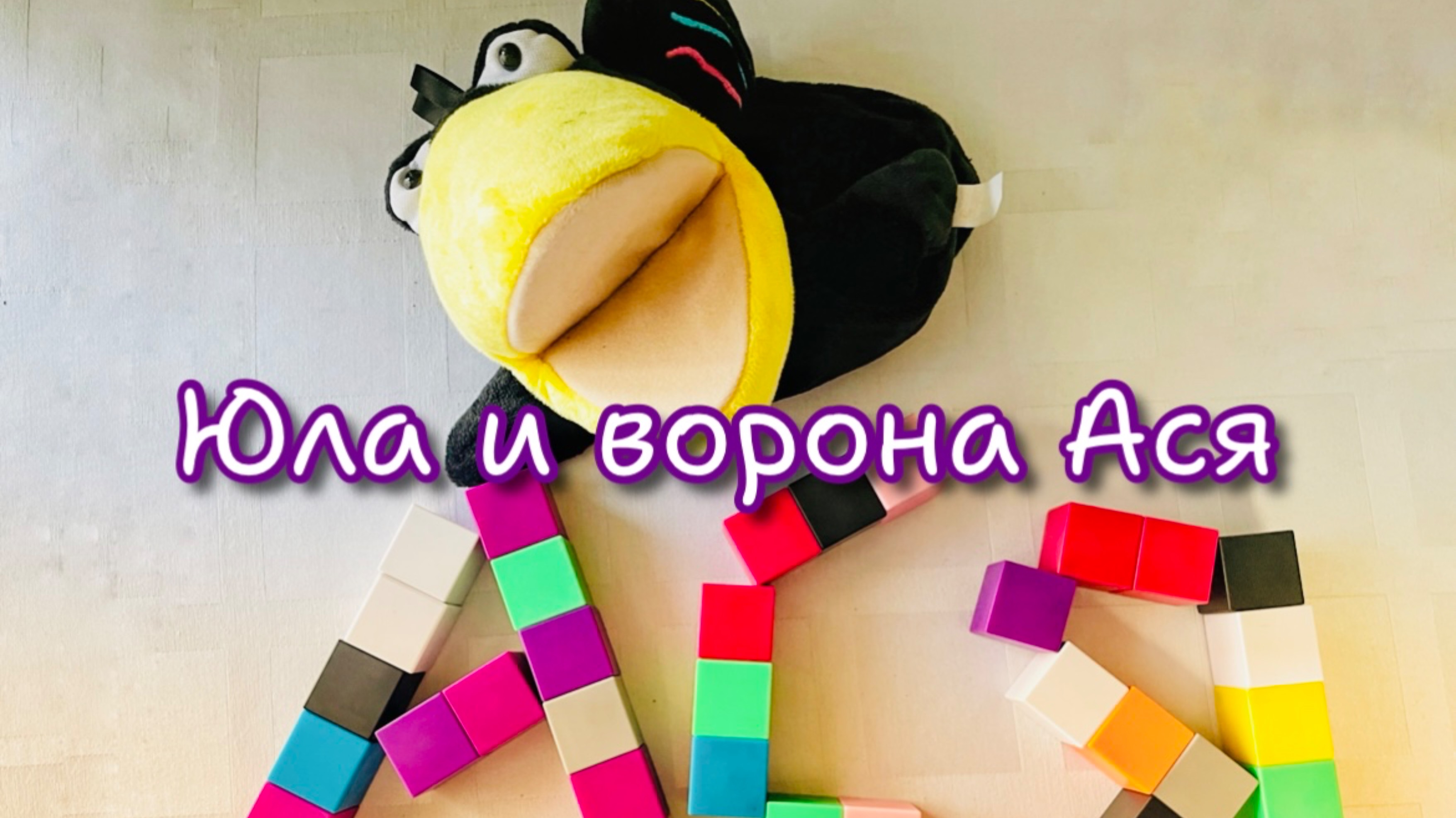 Юла и ворона Ася 💥