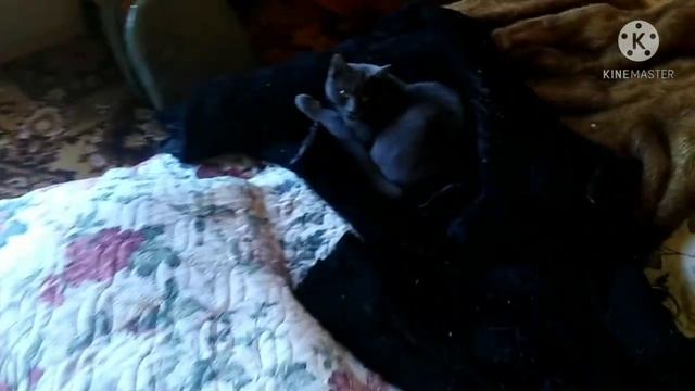 27-2020 Life in a Day _ Жизнь за один день _ 25.07.2020 __ Elena Pero