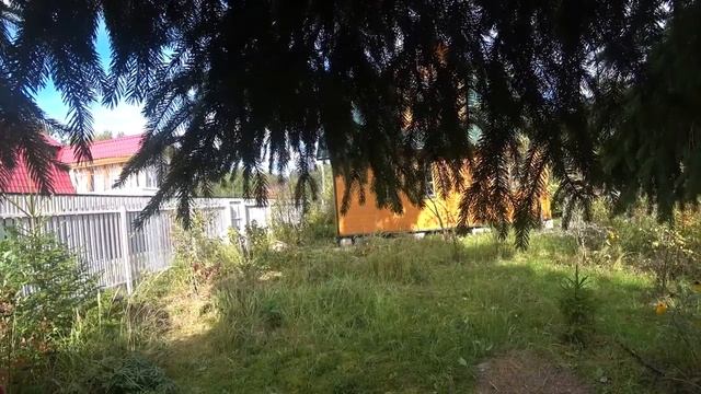 32-2021 Мороз. Солнце! И грибы!!! _ Elena Pero