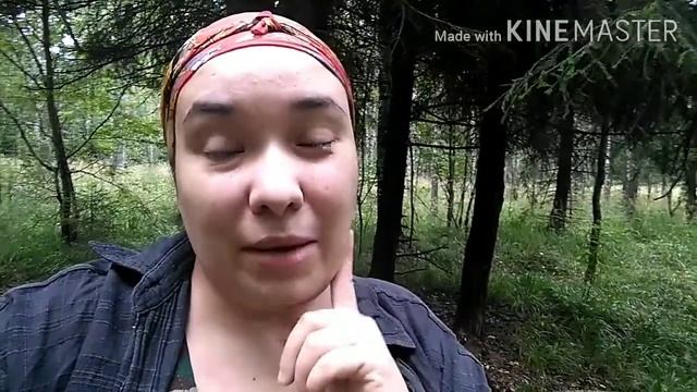 29-2020 Я Напала На ЛИСИЧНИК _ Эксперимент с Рудбекией __ Elena Pero