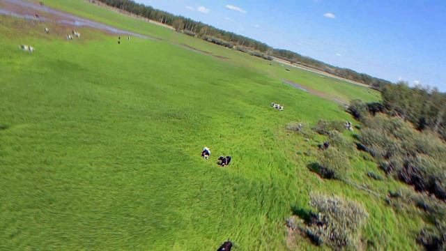 Природа посёлка Большетархово.