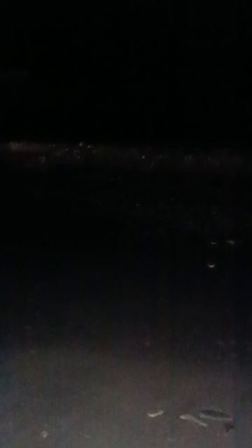 Ночное море Лермонтово