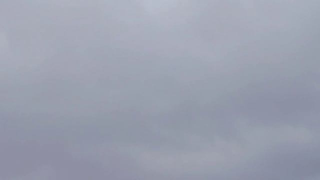 Осиновая роща. Димитровград