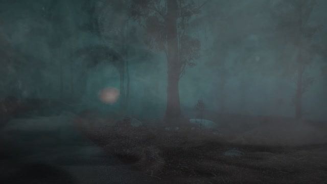 02 - The forest of the land of dreams