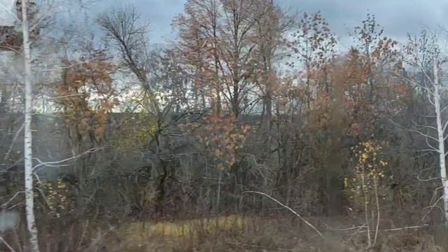 Димитровград- Ульяновск на поезде