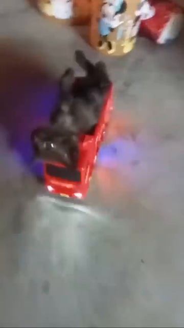 Сегодня отдыхаем👍  👉 VideoCook Подписаться