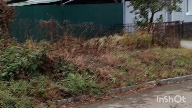 Киндяковка, Винновская роща