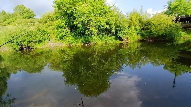 Отдыхаем на даче в России.Рыбалка в России, паримся в бане, купаемся в бассейне. Отдых, Развлечения