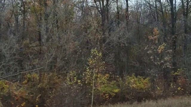 Едем Димитровград- Ульяновск. Поезд