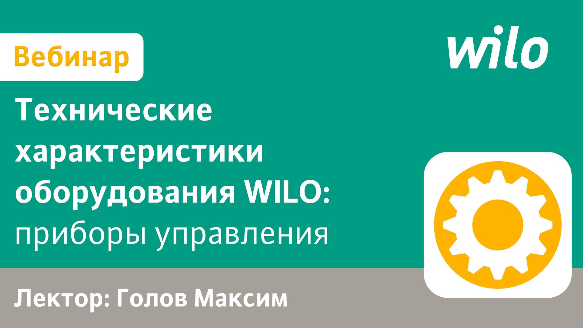 Электрооборудование и электрические принадлежности ВИЛО РУС