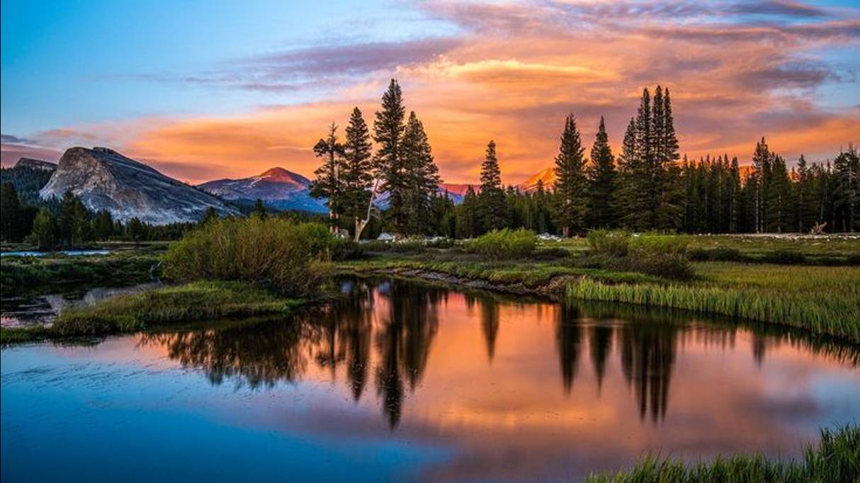 Вебер К.М. Концерты, J: 114; 188; 282 / C.M.F.E. von Weber