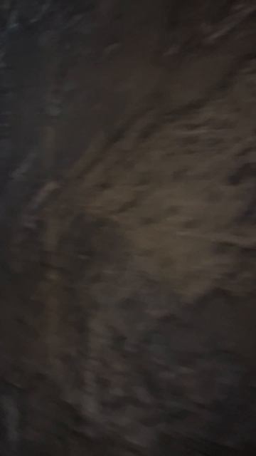 Идём на верх внутри кроличьей норы #парккраснодар #паркгалицкого