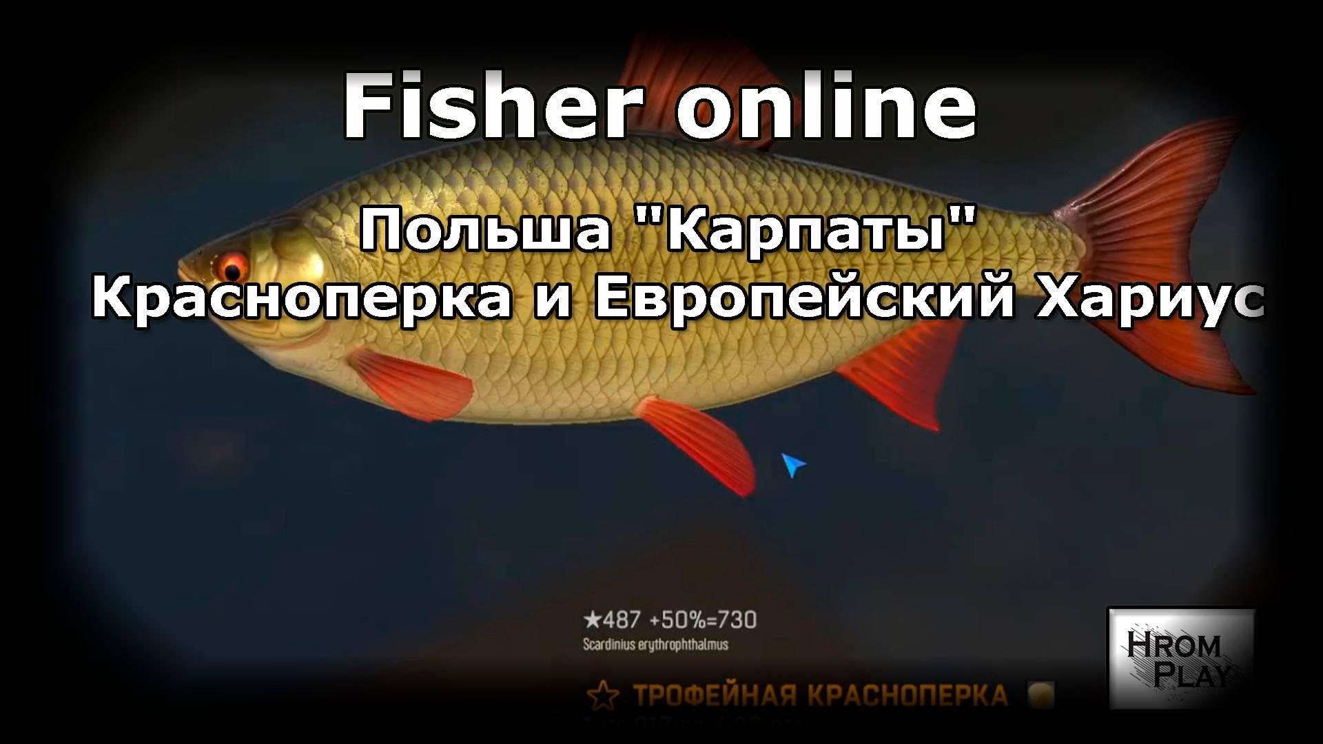 Рыбалка в Fisher Online Польша "Карпаты" Красноперка и Европейский Хариус