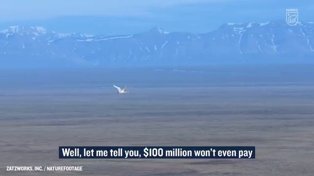 Robert Redford_ Help NRDC Protect the Arctic Refuge