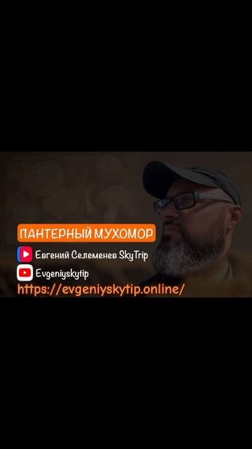 Пантерный Мухомор