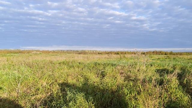 Очень хочется копать #24