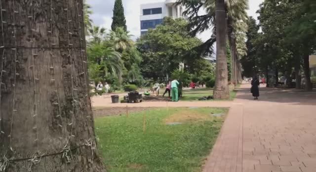 Центральная улица Сочи. Навагинская 2025