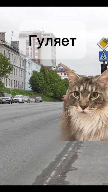 Как Марс едет в Мурманск (Анимация)