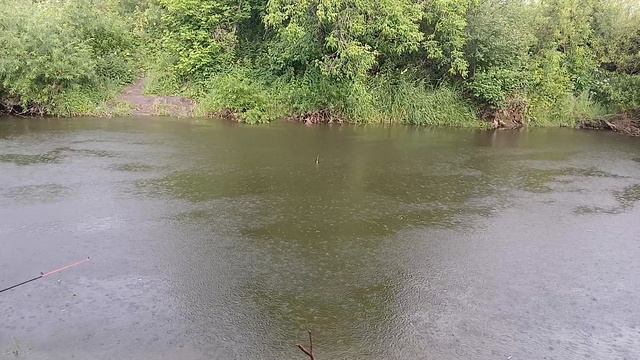 Отдыхаем на даче в России.Рыбалка в России, паримся в бане, купаемся в бассейне. Отдых, Развлечения