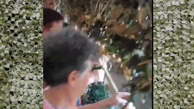 Паучки Кубани