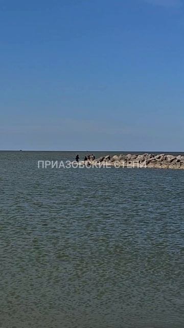 Кисельные берега из медуз в Ейске