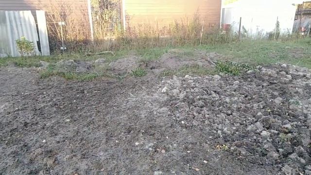 47-2022 Нужен совет, Осенние работы на участке, Холодно __ Elena Pero