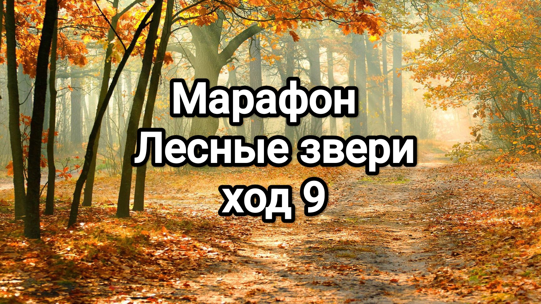 Марафон Лесные звери-ход 9