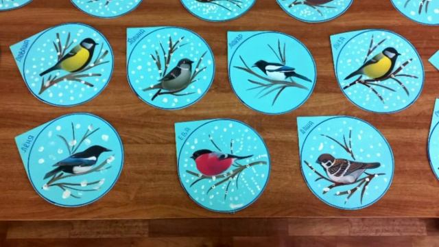 Зимующие птички 2025