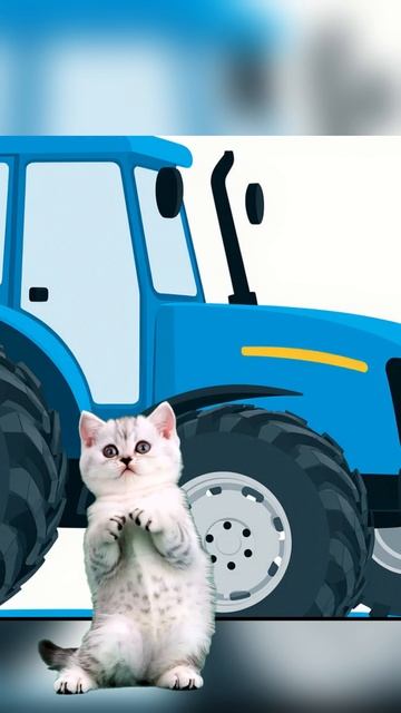 Мой синий трактор едет к нам | БРУМ БРУМ БРУМ