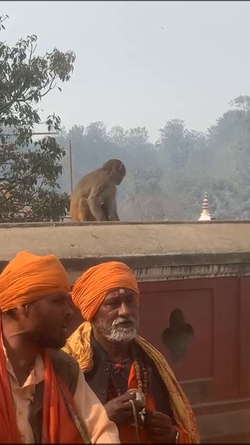 На улице в Катманду.