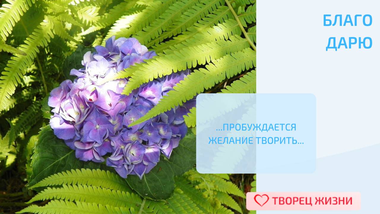Благодарю за возможность вдохновляться самой и вдохновлять других!