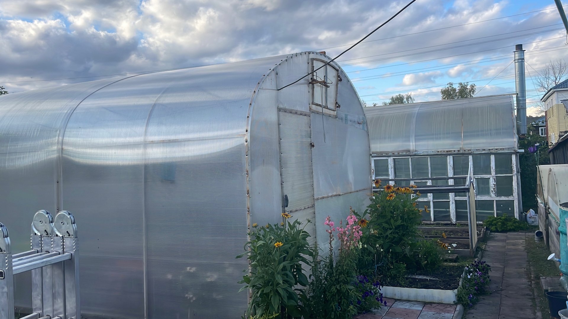 🏡 Огородно-тепличный Vlog. Готовим теплицу к следующему сезону. Цветы ещё цветут, слава богу 🙏