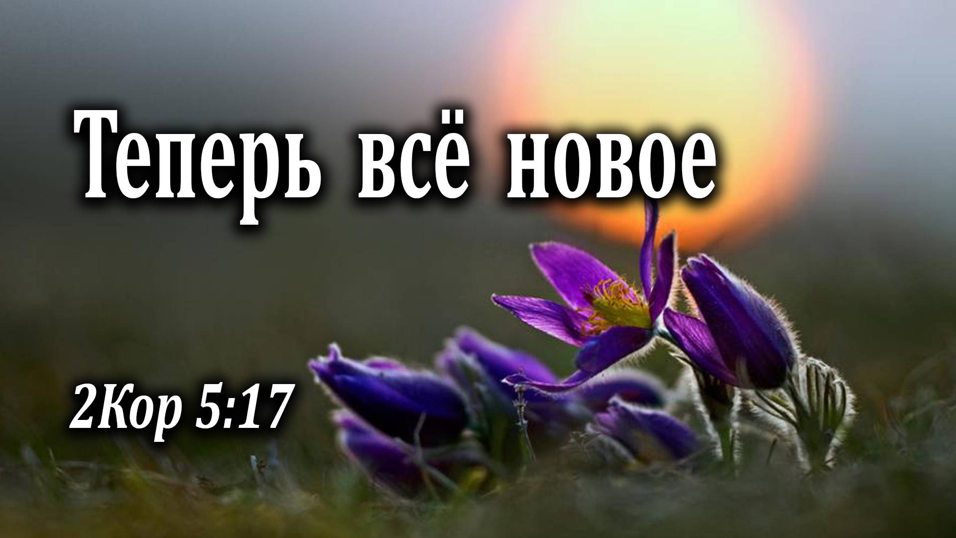 11.06.2023 "Теперь всё новое" 2Кор 5:17 Подуражный Андрей