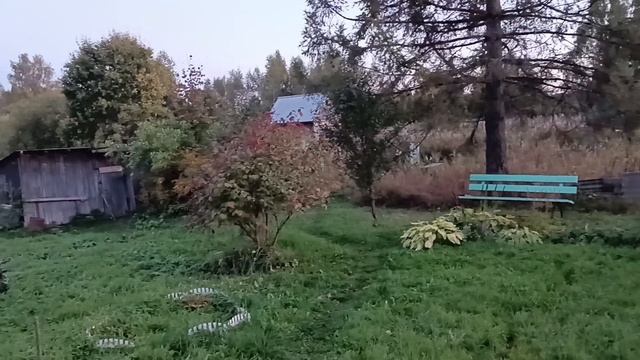 Краски осени