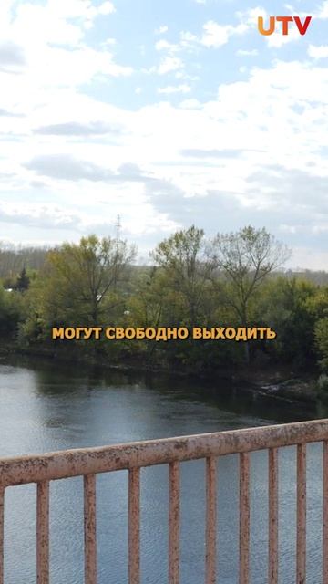 🏞️ Стерлитамаке испытали экологичный транспорт — электробус и троллейбус