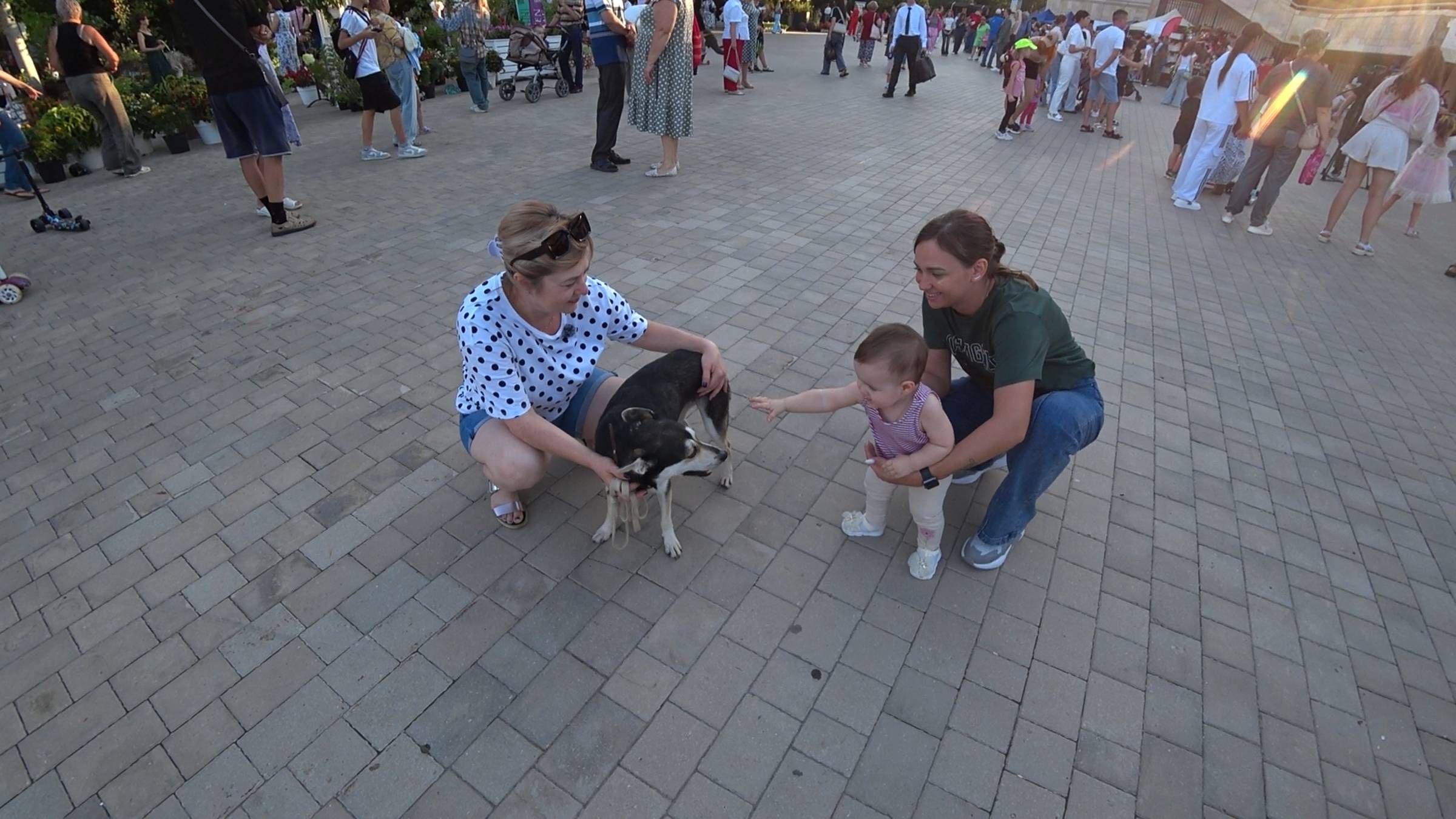 Праздник Цветов. Прогулка в парке Аркадия. Часть 2-я. 22.08.2025. Sony X3000.