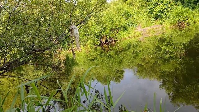 Отдыхаем на даче в России.Рыбалка в России, паримся в бане, купаемся в бассейне. Отдых, Развлечения