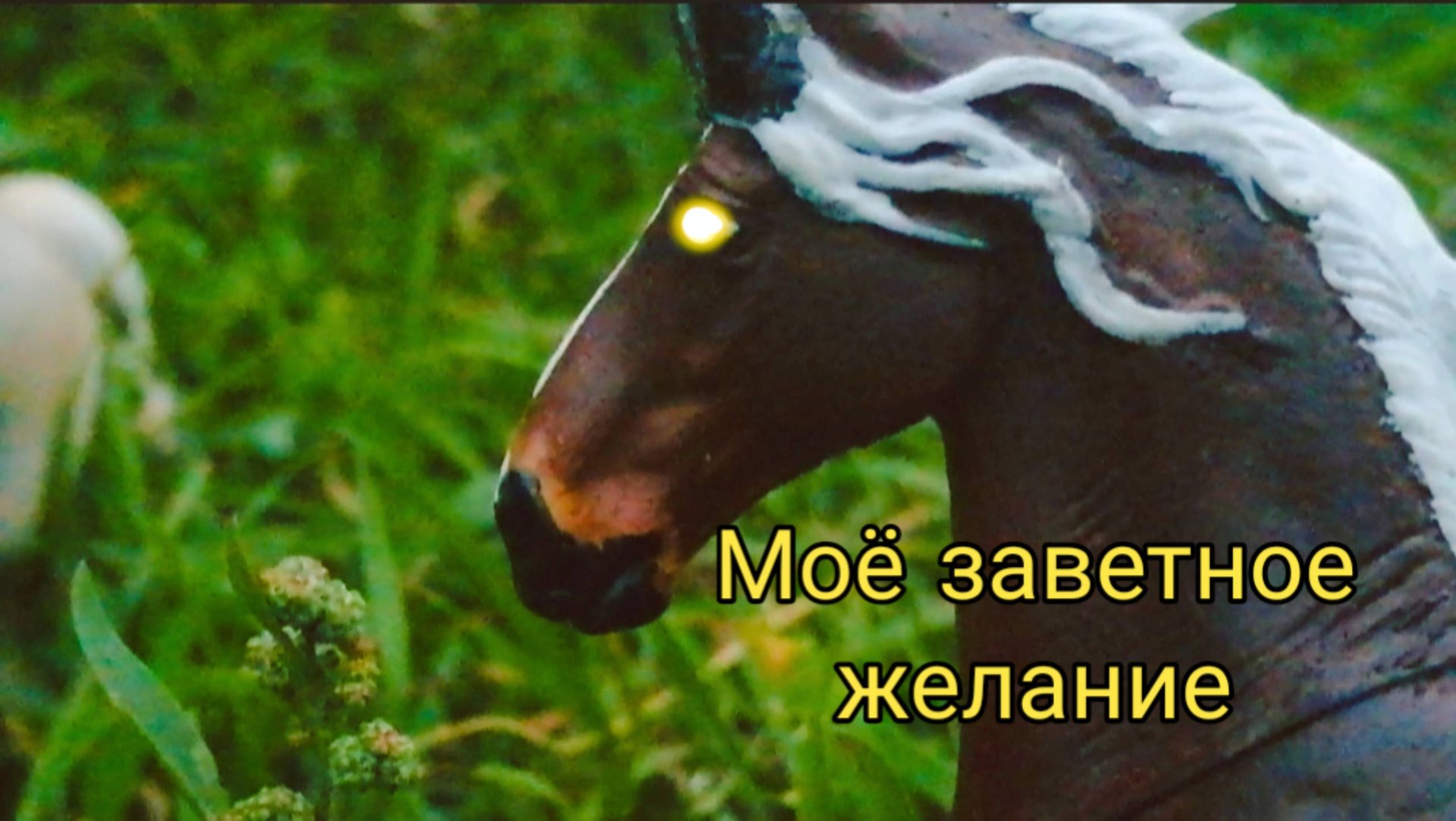 Сериал шляйх. Моё заветное желание. Серия 5