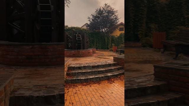 Богуш Илья - Пусть осенняя листва /Зеленоградск/